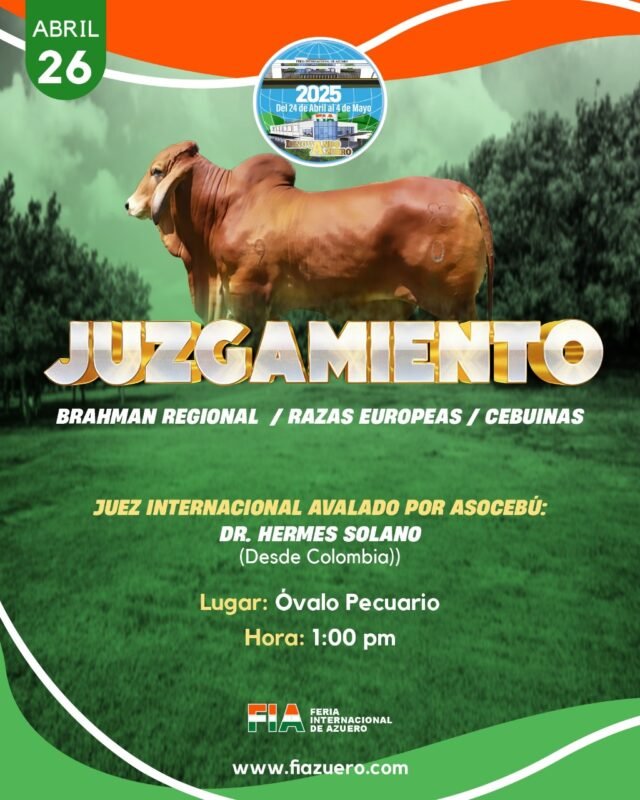 Feria Internacional de Azuero 2025 - Versión 61° - Feria de Azuero